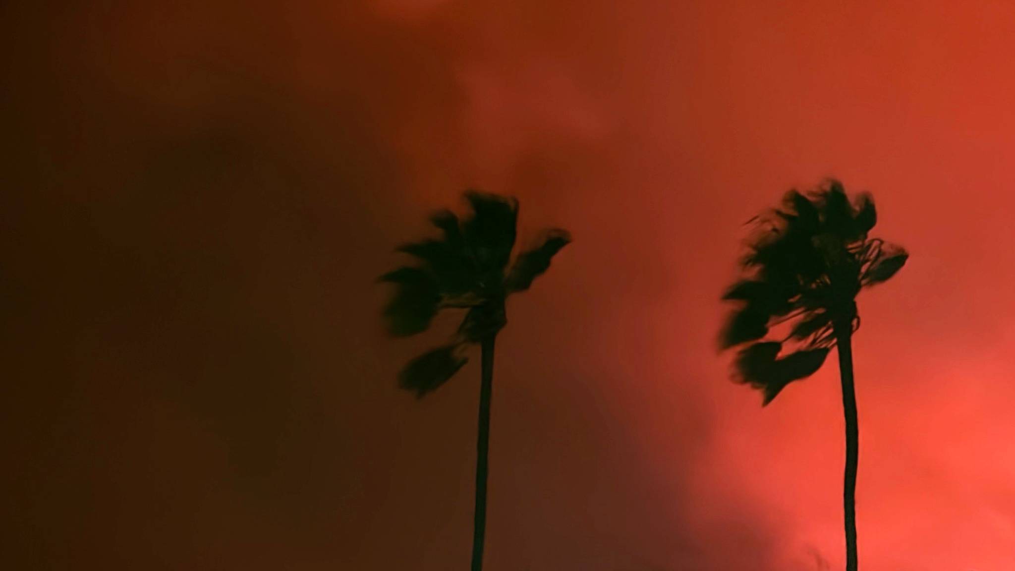 "Smoldering Dawn" | Amanda Gorman | Firecracker